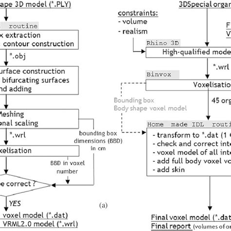 Workflow For The Production Of Voxel Models From 3d Models A