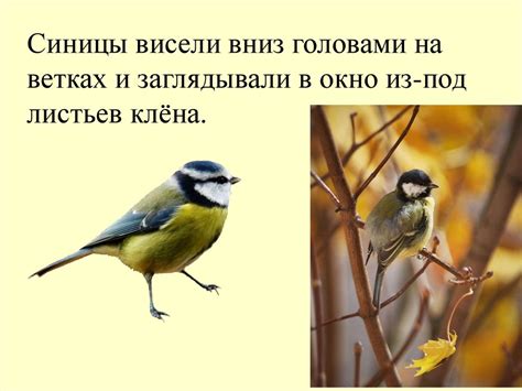 Знаки препинания в предложениях с однородными членами презентация онлайн