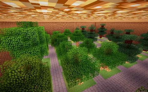 How To Make Cactus Grow Faster In Minecraft Quick Guide