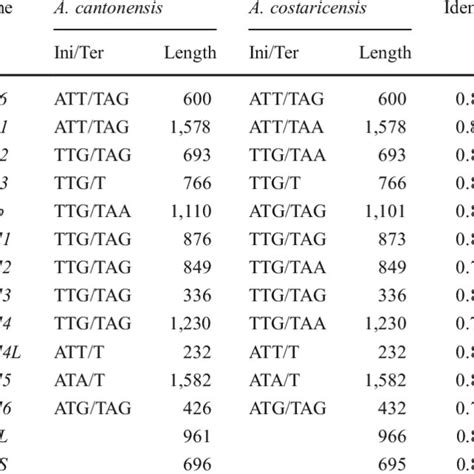 Comparison Of Protein Coding Genes And Ribosomal Rna Genes Of A