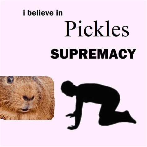 Pickles R Baldisbasicsedu