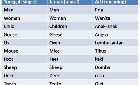 Mengenal Kata Benda Tunggal Dan Jamak Dalam Bahasa Inggris Ii Singular