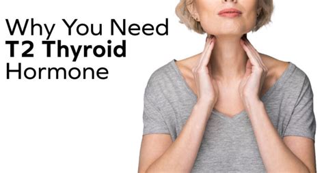 Hormone Testing Tests For Thyroid Adrenals Sex Hormones