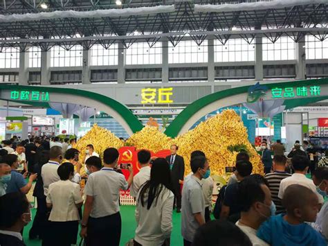 潍坊安丘让更多消费者共享出口级优质农产品 潍坊要闻 潍坊 齐鲁网