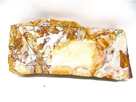 Lot 260 Million Year Old Fossil Sheet From Dunedoo Nsw