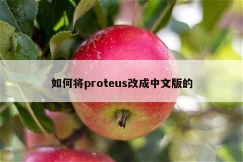 Proteus Proteus Proteus Proteus