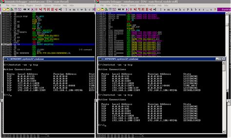 MiniShare 1 5 5 Users Txt Local Buffer Overflow Egghunter