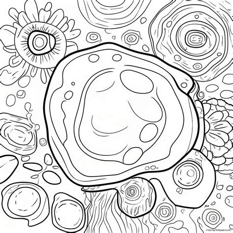 Plant Cell With Colorful Organelles Coloring Page 40204 31783