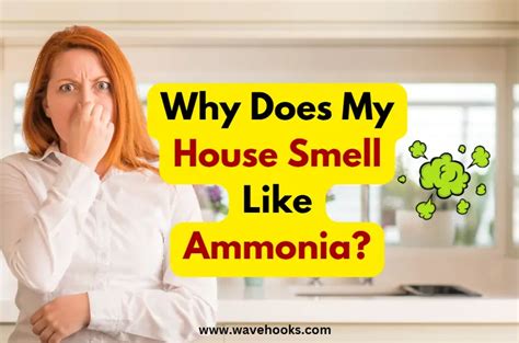 Why Does My House Smell Like Ammonia 9 Surprising Causes