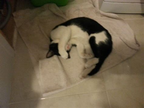 I Want To Sleep Switch The Light Of Light Lighting Sleep