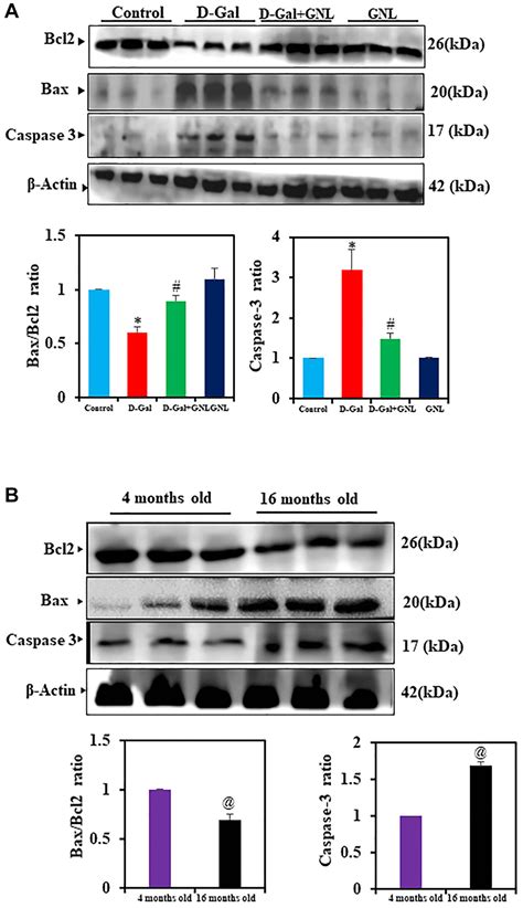 Geraniol Attenuates Oxidative Stress And Neuroinflammation Mediated