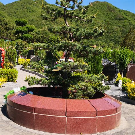 天寿陵园京华园树葬墓地价格及详情 北京陵园网