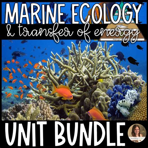Marine Ecology Unit Bundle Secondary Sparks