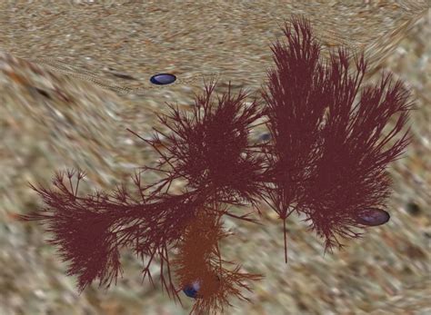 three algae using parametric l system with stochastic behaviour