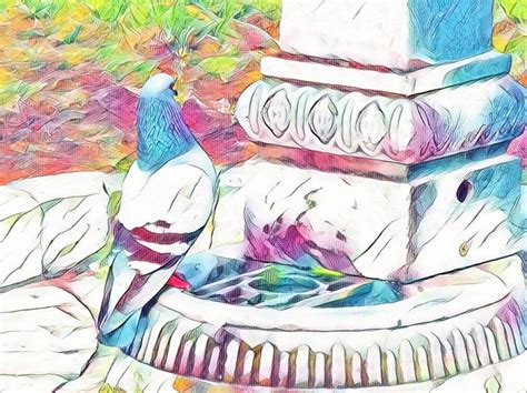 60以上の無料Sjön Colombo コロンボ画像 Pixabay