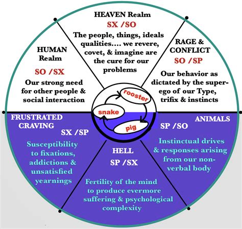 Male Vs Female Brains Part 1 Heal And Grow For Acoas