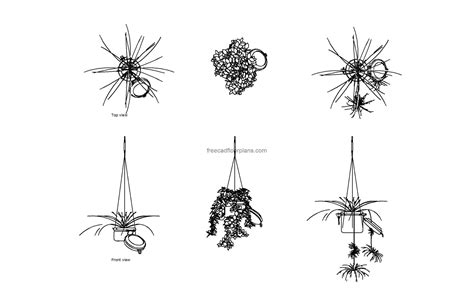 Potted Hanging Plant AutoCAD Block Free Cad Floor Plans