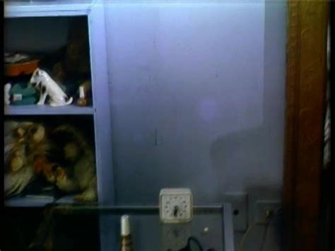 Cecil Howards Platinum Paradise Softcore Streaming Video On Demand