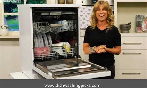 Reset Fisher And Paykel Dishwasher Reset Fisher And Paykel Dishwasher