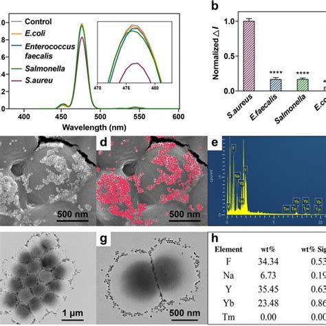 Specificity Of Cs Ucnp Based Aptasensor For S Aureus Detection A Download Scientific