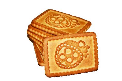 Печенье картинка пнг