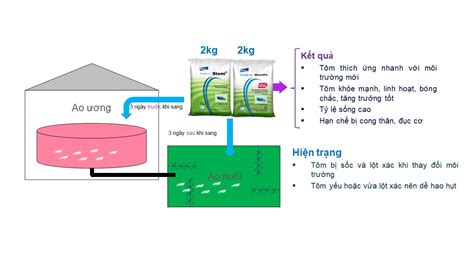 Khoáng Elanco Việt Nam
