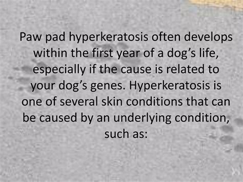 How To Heal Paw Pad Hyperkeratosis Pptx