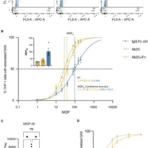 Ab Enhanced Fn Binding Inhibits Monocyte Phagocytosis THP 1 Cells Were