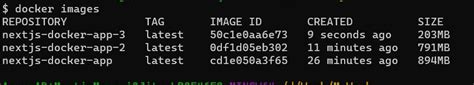 next js 13 and docker unleashing web development magic