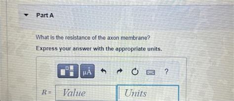 Solved Axons In The Brain Have Smaller Diameters Than Motor Chegg Com