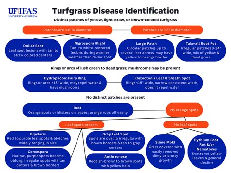 Turfgrass Disease Identification Flow Chart Gardening Solutions University Of Florida
