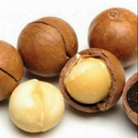 READYSTOCK KACANG MACADAMIA Shopee Malaysia