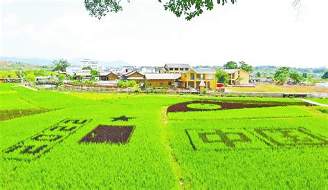 南雄灵潭村的蝶变彰显新时代美丽乡村风采 在广阔田野绘就丰收美景 韶关发布