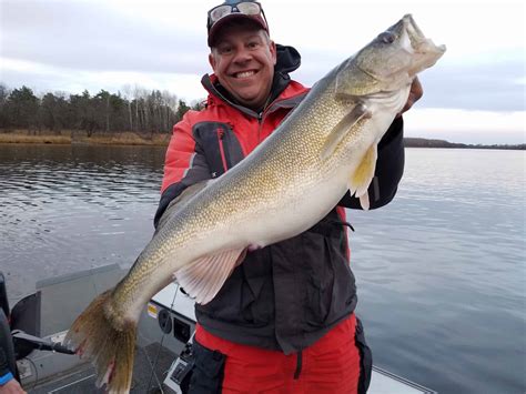 Fall Fishing Rainy River Walleyes Walleyefirst