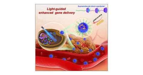 Visible Light Guided Gene Delivery With Nonviral Supramolecular Block