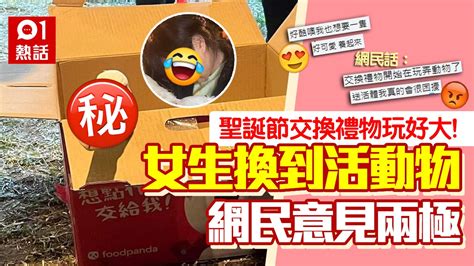 聖誕節交換禮物 女生竟收「活體動物」 網民斥缺德：無聊當有趣