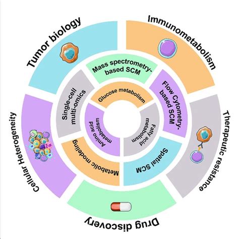 Overview Of Representative Single Cell Metabolomics Methods For Download Scientific Diagram