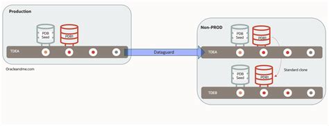 19c Pdb Clones From Physical Standby Oracle And Me
