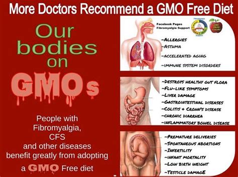 Exploring The Potential Impacts Of Gmo And Non Organic Food On Our