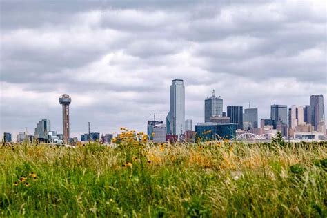 Clima En Dallas Hoy 5 De Noviembre De 2024 Clima Fresco Con Cielo