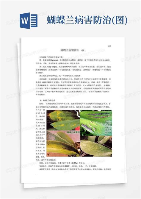 蝴蝶兰病害防治图word模板下载编号qpdxwmkw熊猫办公