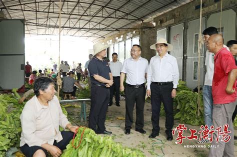 衡阳市人民政府门户网站 赖馨正到耒阳市马水镇巡河巡林并督导当前重点工作
