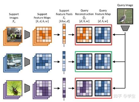 Few Shot Classification With Feature Map Reconstruction Networks 知乎