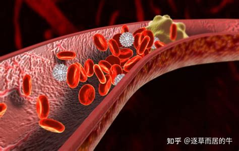 通过提高毛细血管壁的通透性治疗癌症 知乎