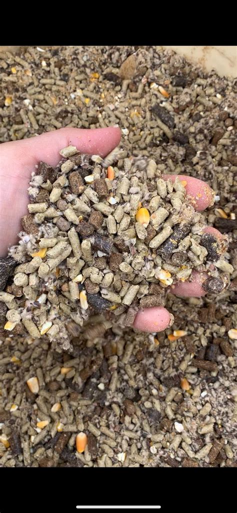 Bulk Cattle Feed 0314 Ribear Cattle Co