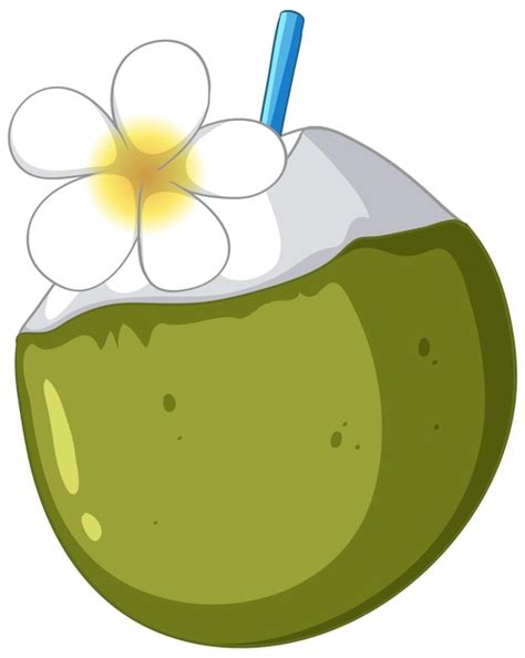 Premium Vector Tropical Coconut Drink Illustration