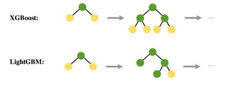 Bioinformatics Machinelearning Lightgbm Datascience Gradientboosting Bulut Hamali Phd