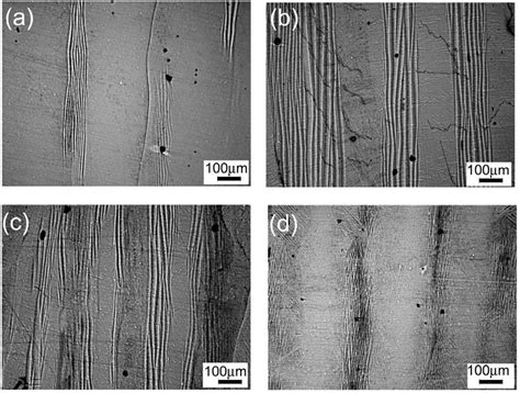 Optical Micrograph Of The Longitudinal Section Of Directionally Download Scientific Diagram