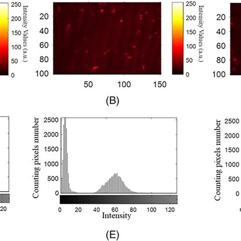 The Proposed Spatial Frequency Domain Imaging Systems A Schematic Download Scientific