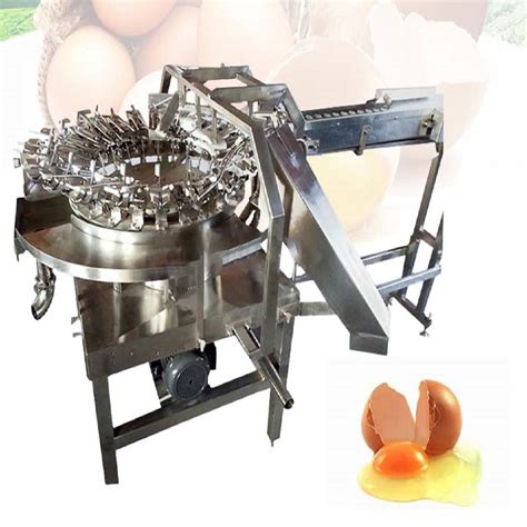Egg Breaking Machines Shn International Gmbh